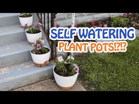 Kill a Plant Again! 🌿 Self-Watering Pots with Water Level Windows Review