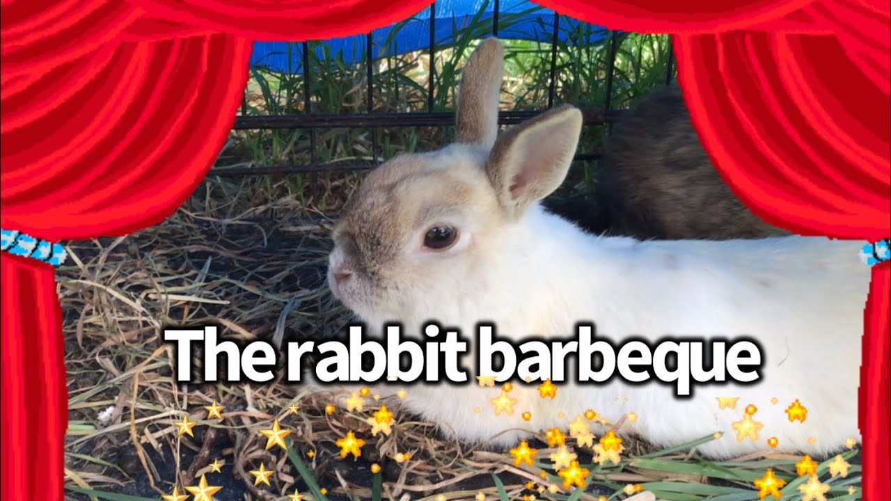 The Rabbit BBQ holiday series! - YouTube