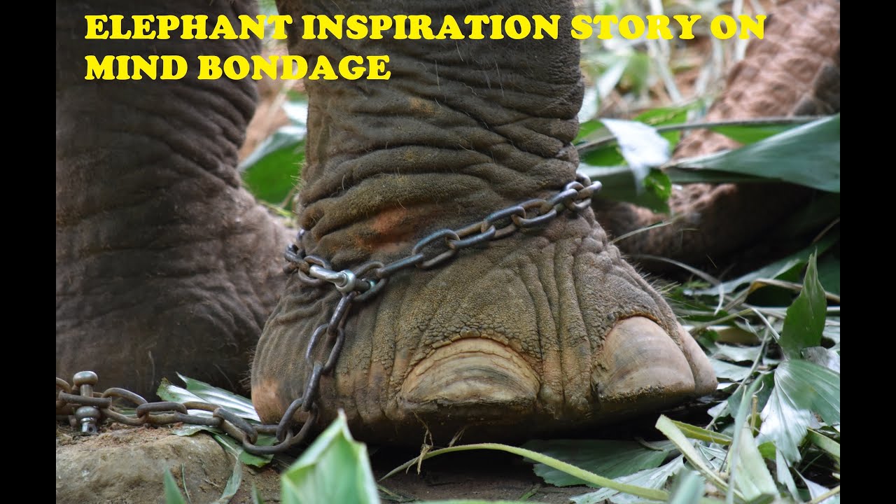 Mind Captivity Inspiration Story - YouTube