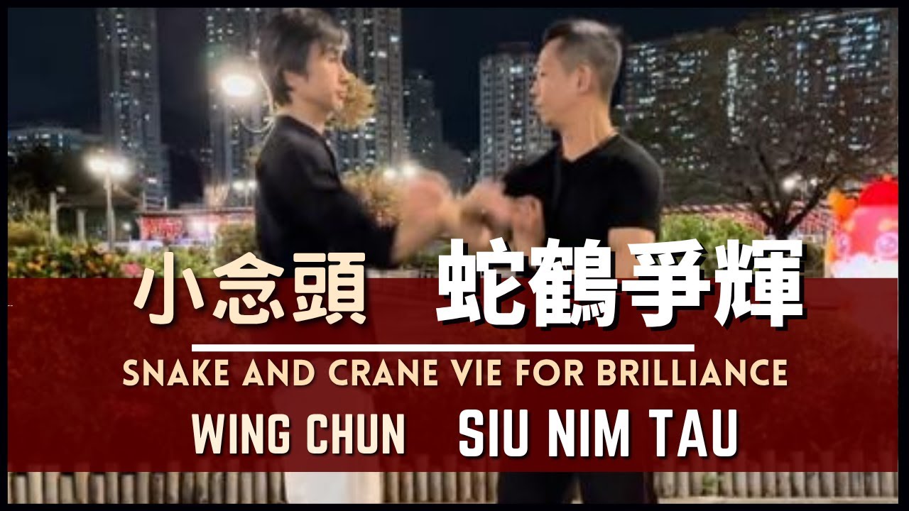 Wing Chun- Siu Nim Tau -Snake and crane vie for brilliance. 小念頭 - 蛇鶴爭輝 ...