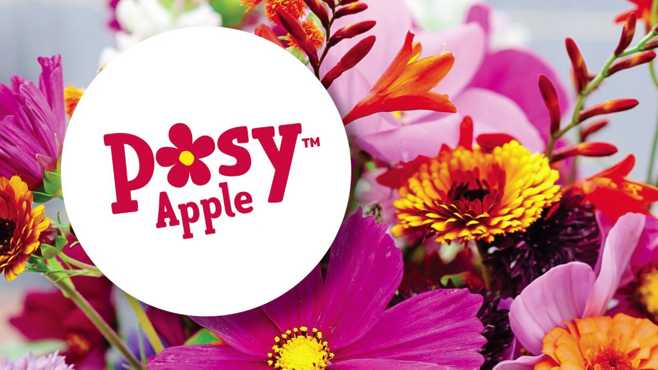 Posy Apples New Zealand - YouTube