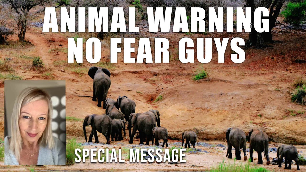 ANIMAL WARNING -- Special message, NO FEAR! - YouTube