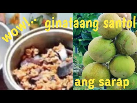 Gulay na santol recipe papano gawin?/MAURAG - YouTube
