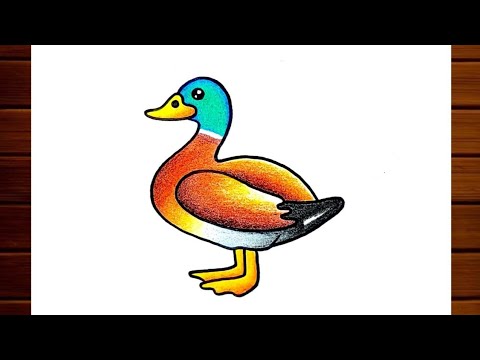 Duck Drawing || How to Draw Duck For Beginner's || Duck Drawing Colour ...
