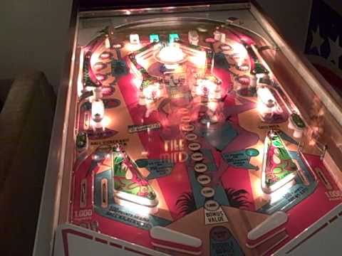 Wild Life Pinball Machine (Gottlieb, 1972) - Image gallery | Pinside ...