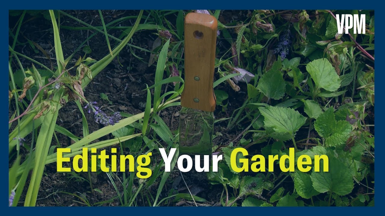Editing Your Home Garden - YouTube