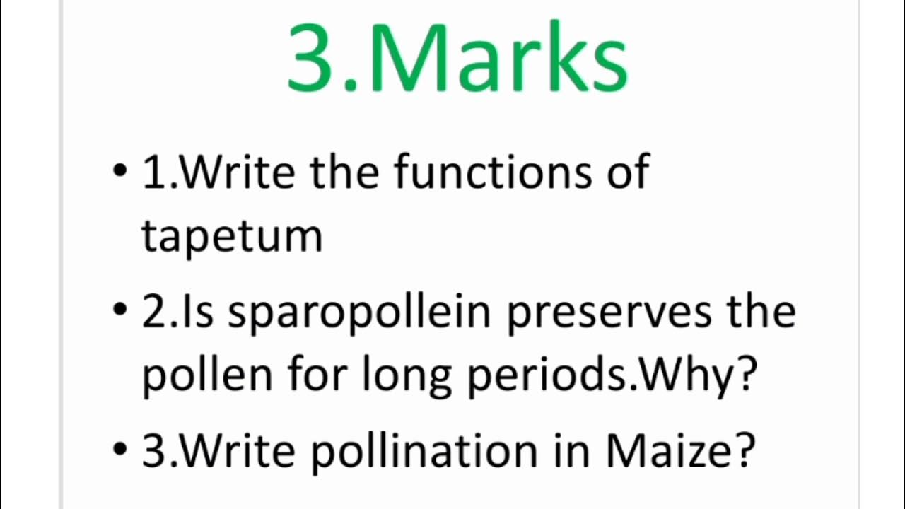 12th Bio Botany Important Questions 2021 3 Mark 5 Mark YouTube 12th-bio-botany-important-questions-2021-3-mark-5-mark-youtube
