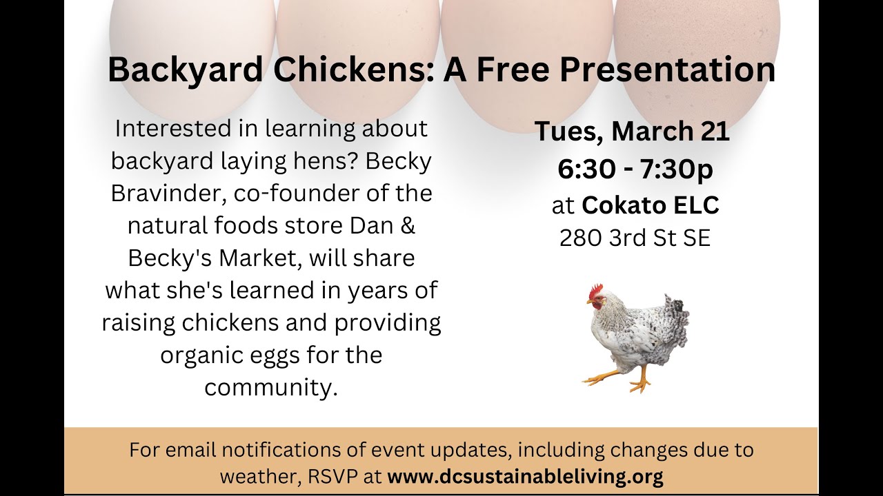 Backyard Chickens with Becky Bravinder - YouTube