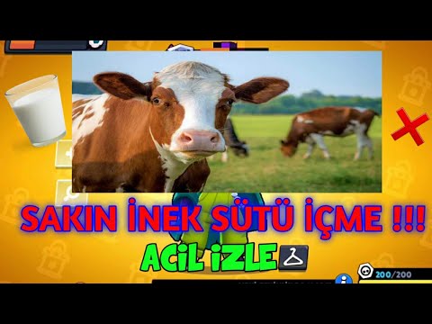 SAKIN İNEK SÜTÜ İÇME ! 😱🐄