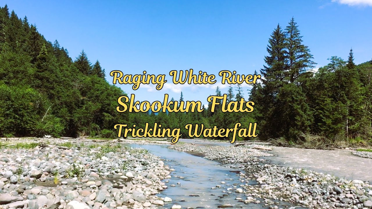 Raging White River | Skookum Flats | Mossy Trickling Waterfall ...