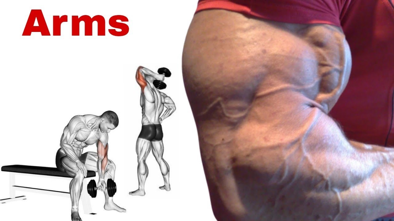 The Most Effective Exercises for Arm Muscle Growth - YouTube