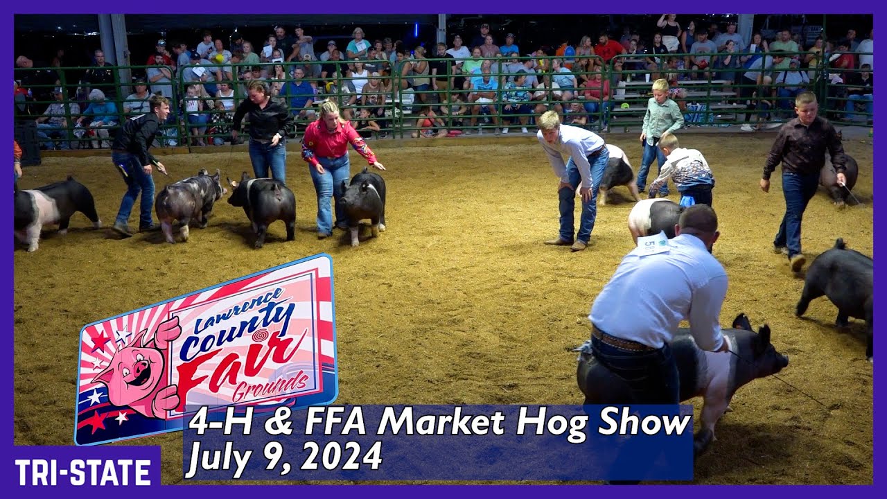 4H & FFA Market Hog Show - Lawrence County Fair Ohio - YouTube