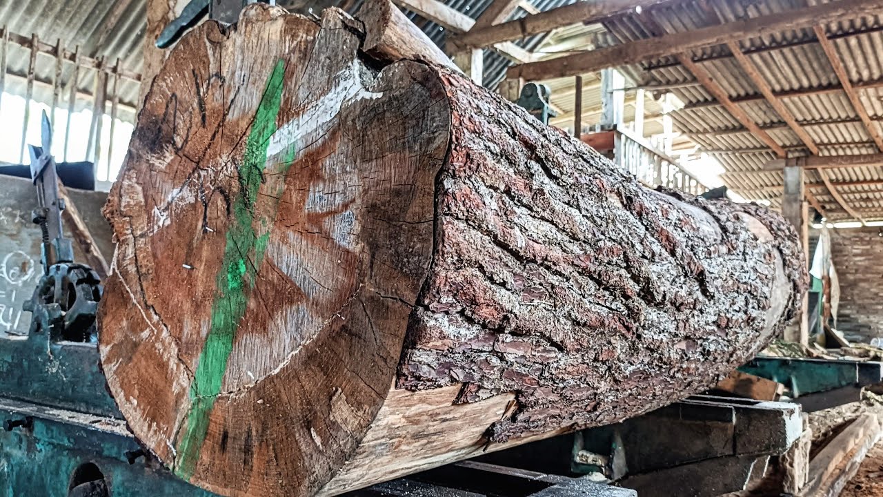 Pine sawmill factory - fast sawing of large pine logs #16 - YouTube