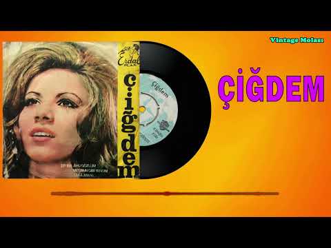 Çiğdem - Birgün Beni Arayacaksın / Orijinal Plak Kaydı