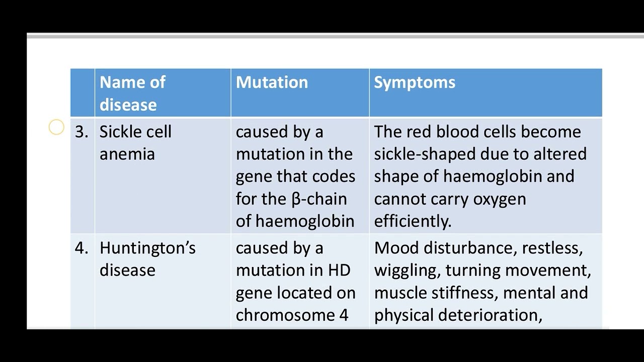 Grade 11 Biology Myanmar Chapter 5 Gene Mutation Youtube