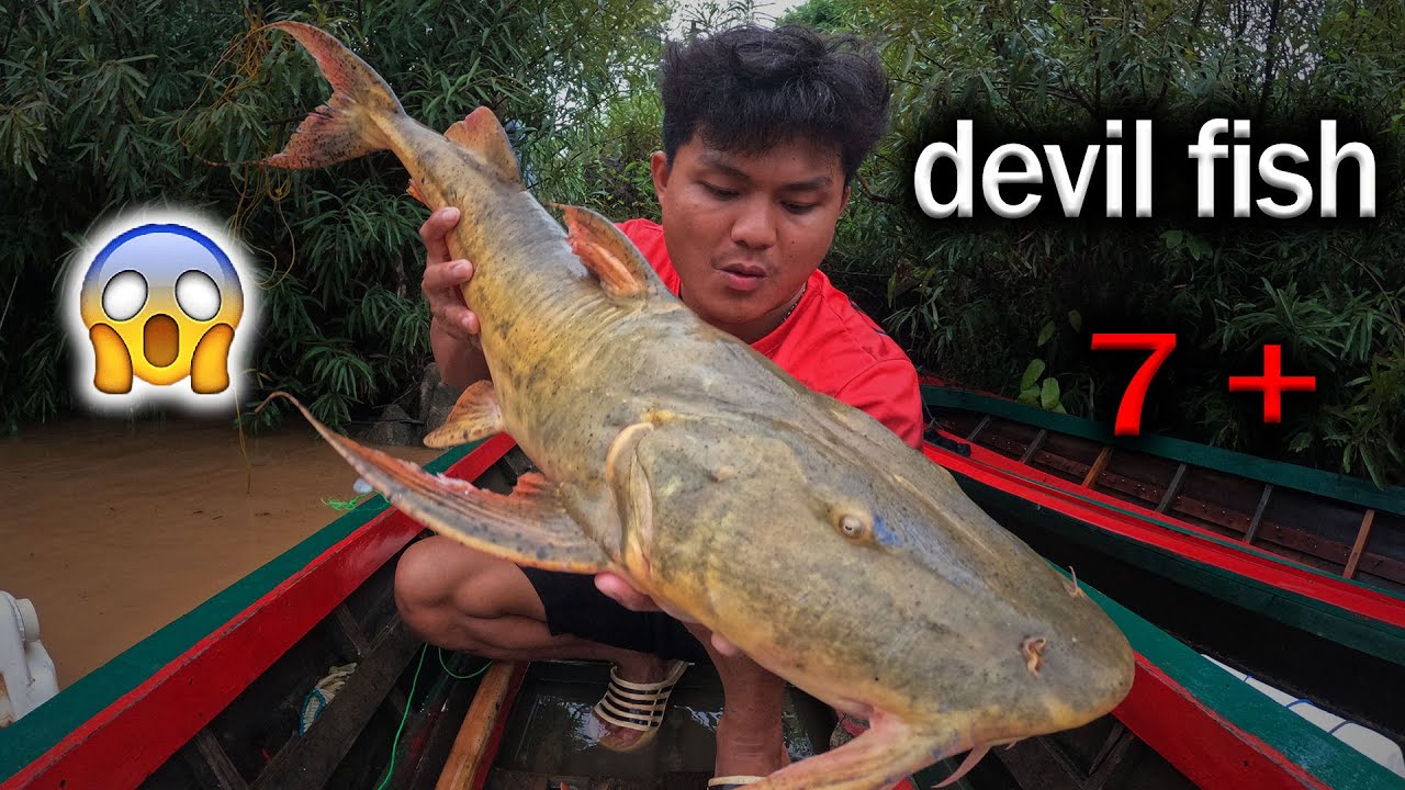 Hunting for the devil fish. WOW.!!! #fish - YouTube