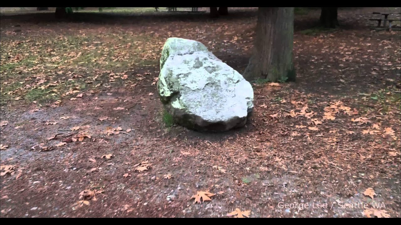 woodland rocks 4K - YouTube