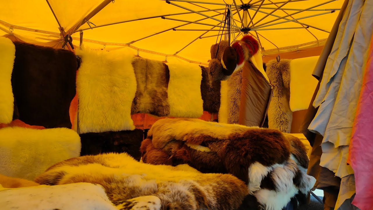 Local Shops and More | German Sheep Shearing Compitition Kisslegg im ...