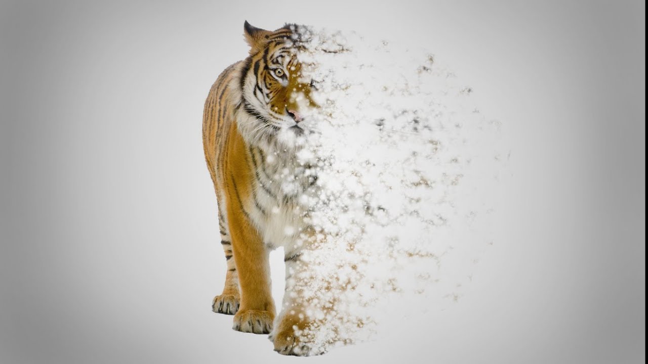 PHOTOSHOP DISPERSION TECHNIQUES | IMAGE MANIPULATION PHOTOSHOP (GD ALAM ...