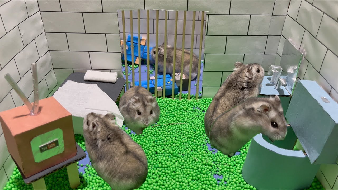 🐹 Hamster Escapes the Awesome 5-Star Luxury Prison Maze 🐹 for Pets in ...