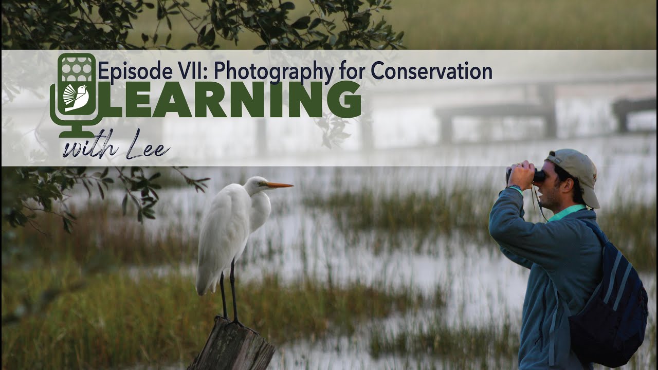 Learning with Lee: Episode VII - Photography for Conservation - YouTube