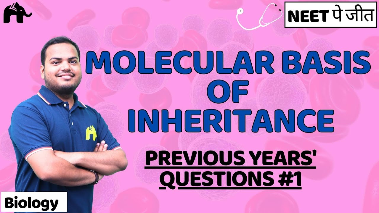 Molecular Basis of Inheritance Class 12 Biology NEET | NCERT Chapter 6 ...