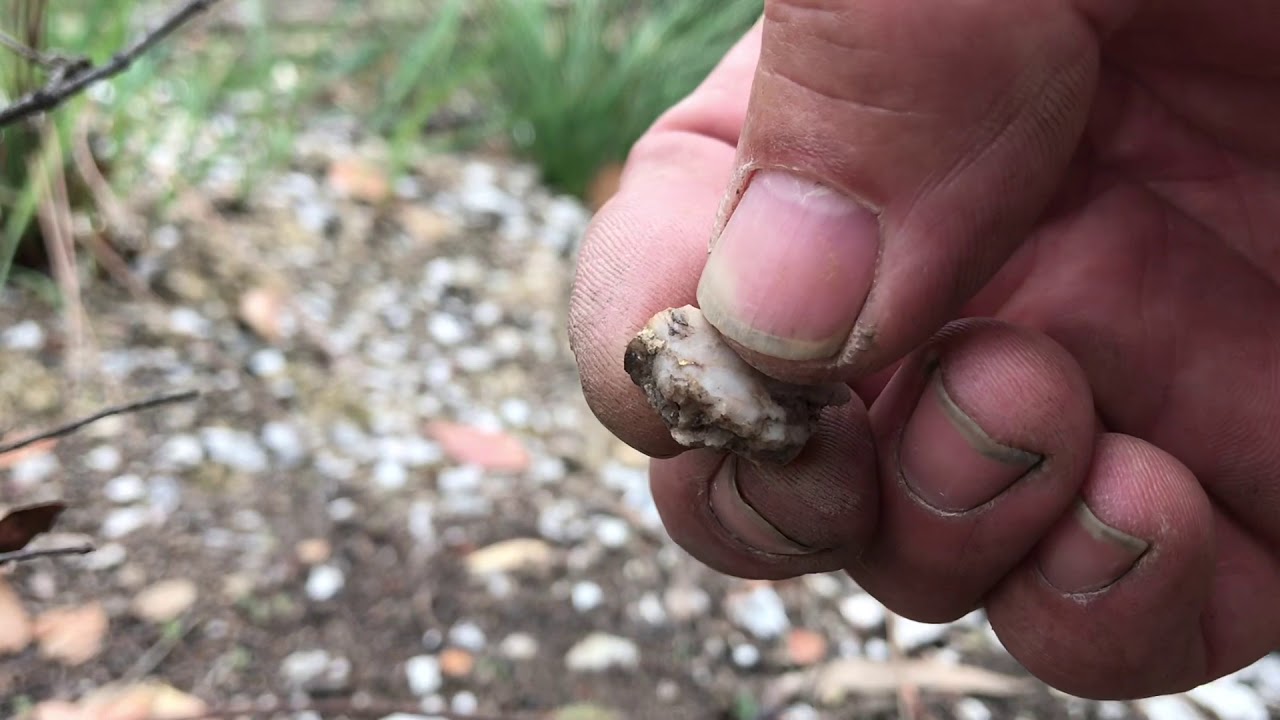 Makro Gold Kruzer, Shooting Fish In A Barrel - YouTube