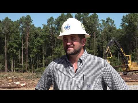 AFA 2022 Logger of the Year - YouTube