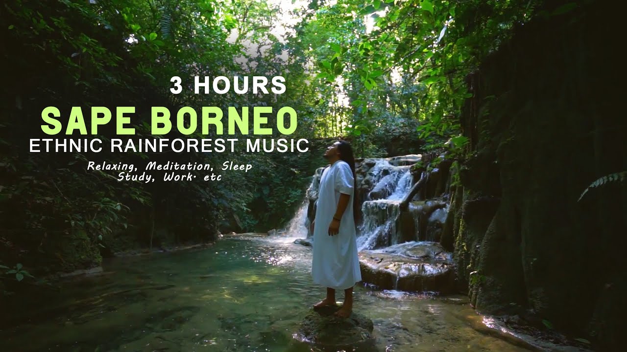 3 Hours Sape Borneo Ethnic Music | Rainforest Vibes For Meditation ...