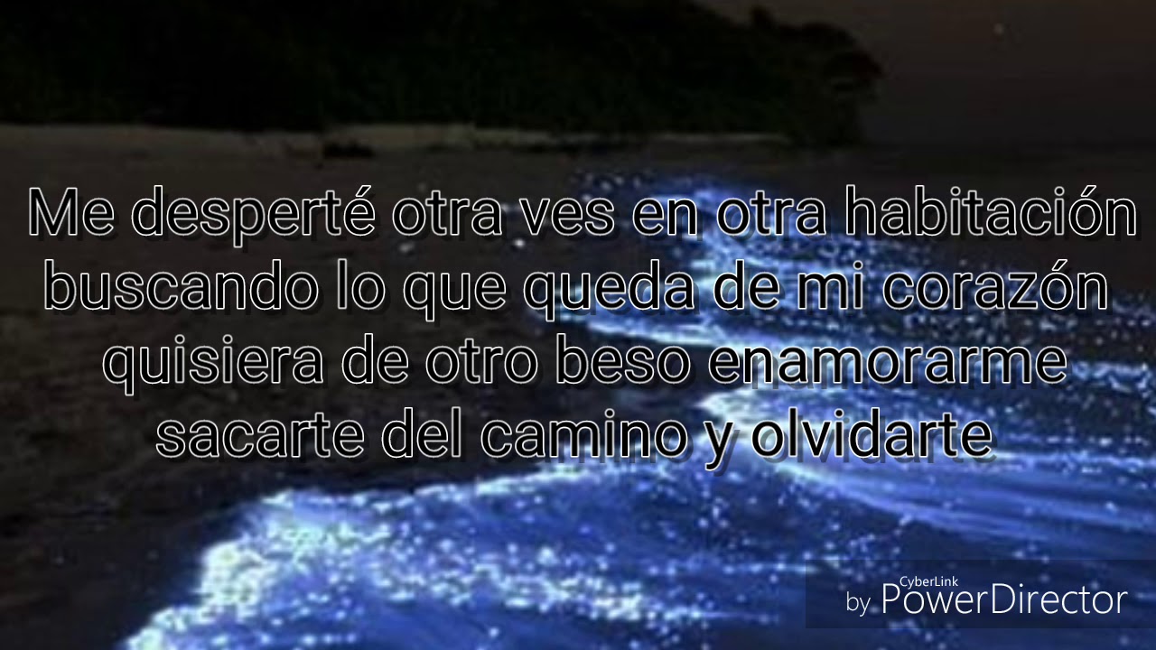 Cali y el Dandee - Sirena ♥ LETRA - YouTube