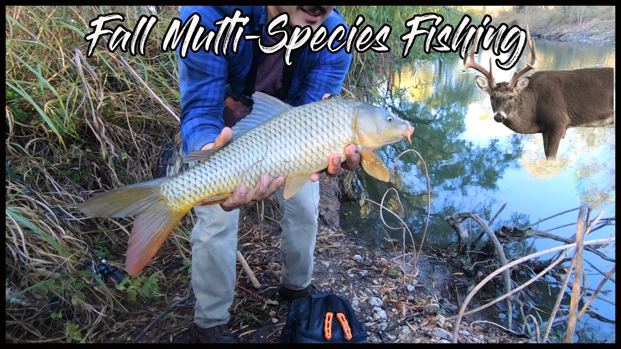 Carp fishing and Close Encounter with a angry Buck - YouTube