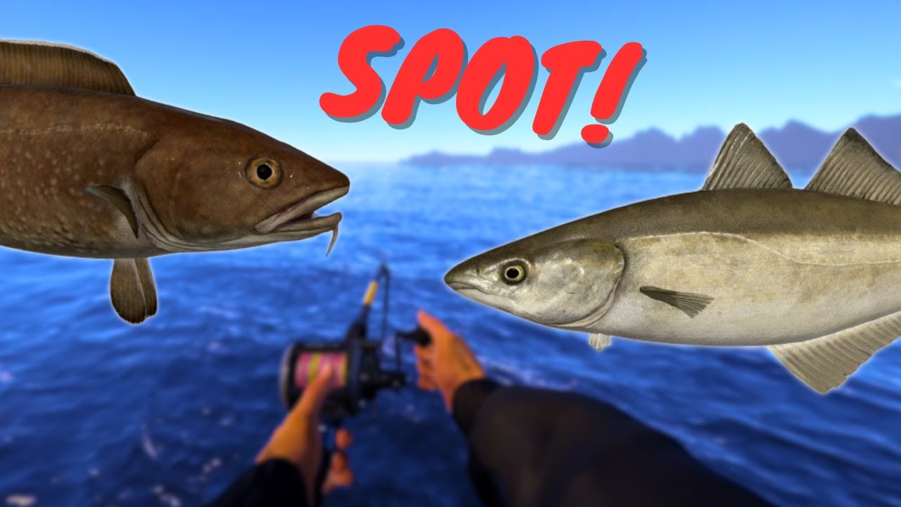 NORWEGIAN SEA FISHING SPOT FOR SILVER! #918 Russian fishing 4 - YouTube