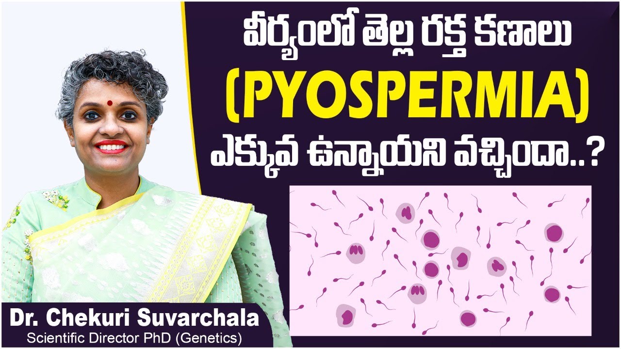 వీర్యంలో తెల్ల రక్తకణాలు | Pus Cells in Semen | Pyospermia | WBC in ...