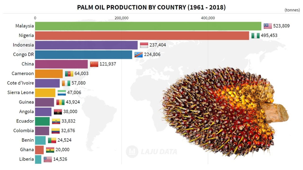 Top 15 Countries by Palm Oil Production (1961 – 2018) - YouTube