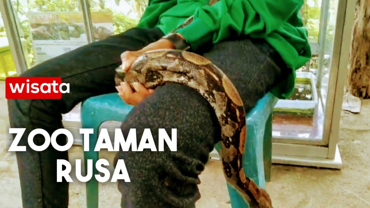 kebun Binatang Taman Rusa, Aceh Besar - YouTube