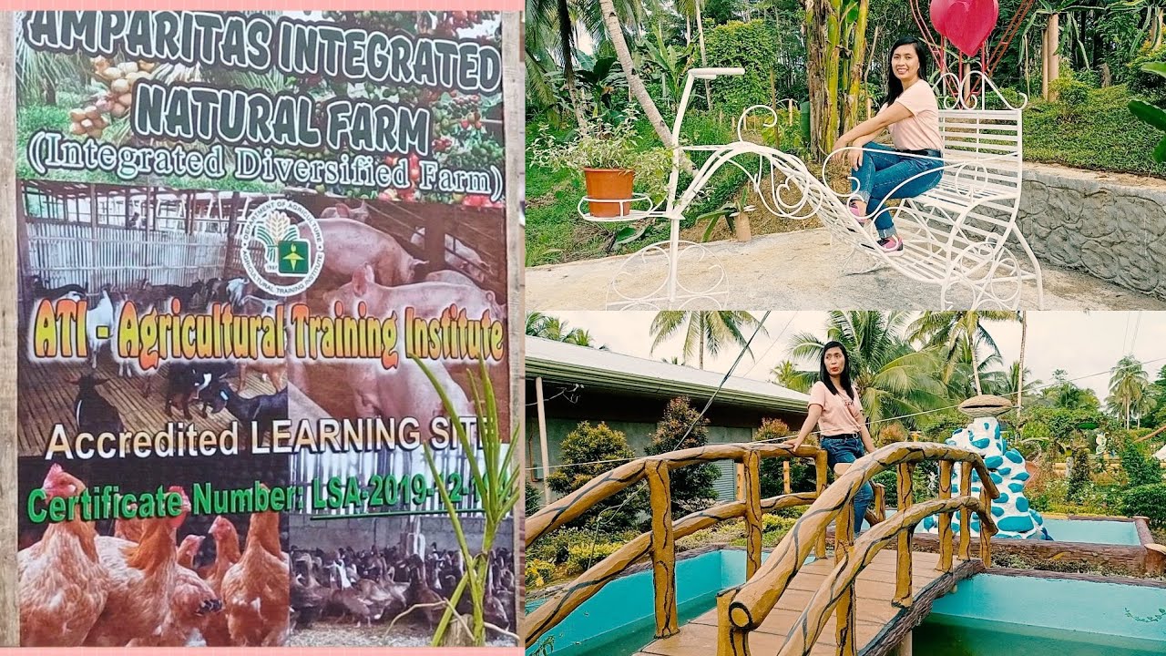 Amparitas Integrated Nature Farm | Organic and Diversified Farm - YouTube