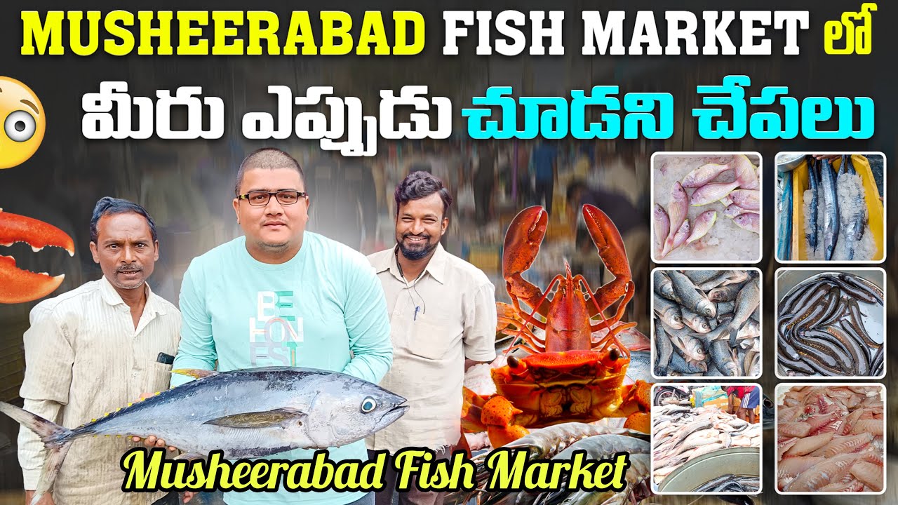 Hyderabad Biggest Fish Market Musheerabad II Sea Food II Fish, Crab ...