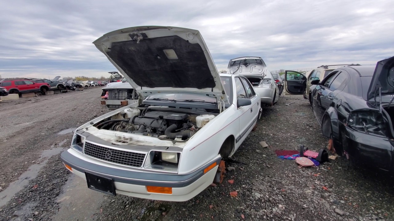 Junk Yard Hoopties- Low mileage and MINT condition 80s Sundance - YouTube