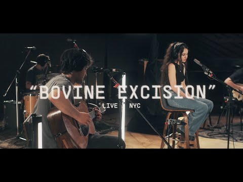 Samia - Bovine Excision (Live x NYC)