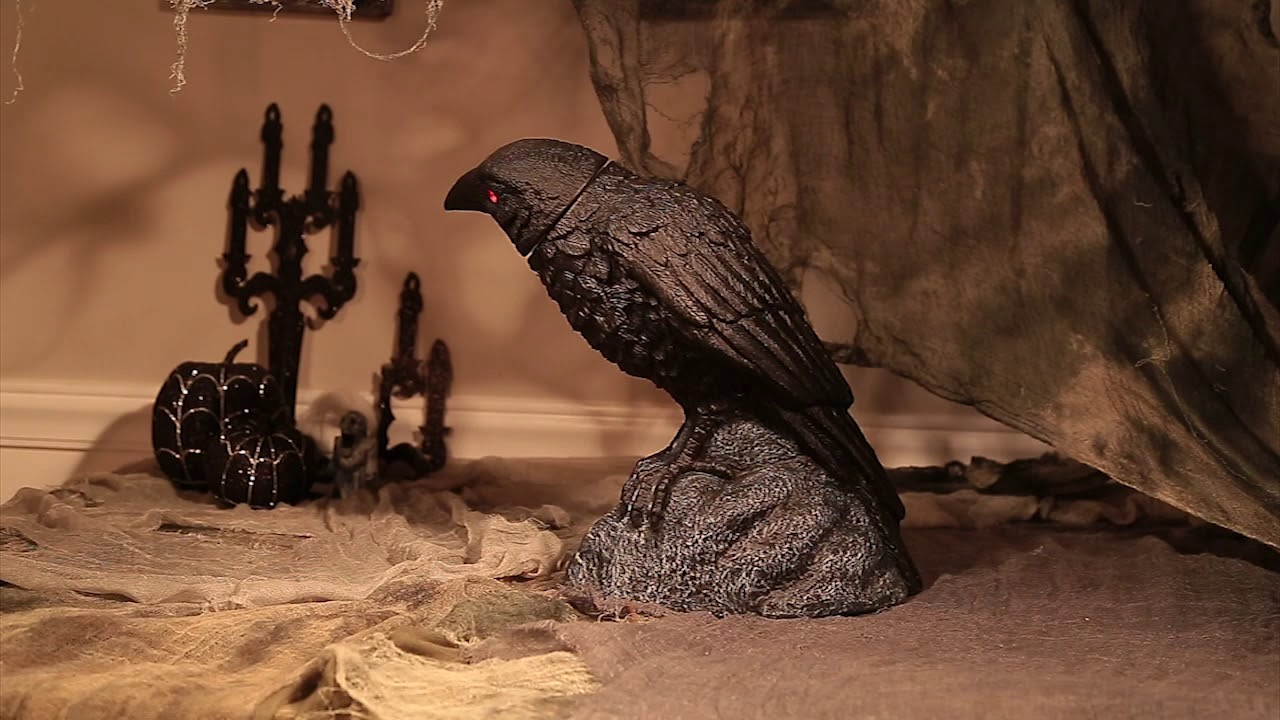Animated Raven MR122899 - YouTube