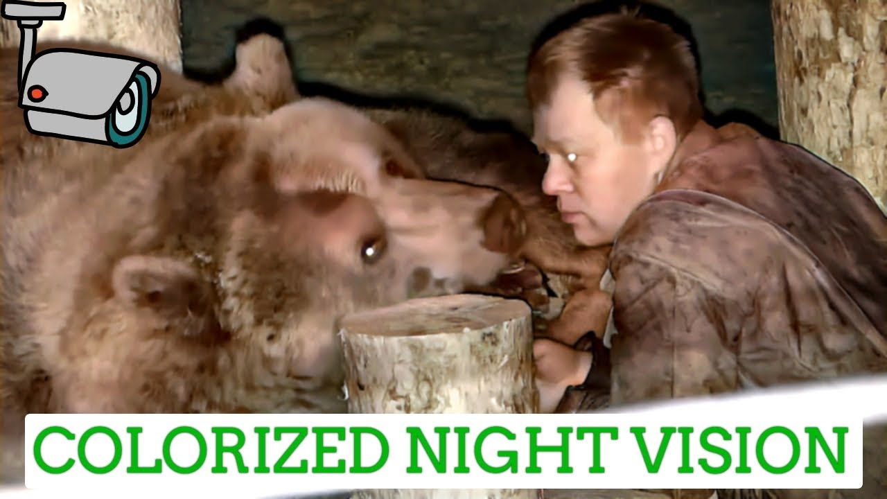 Colorized night vision video. Mansur the bear - YouTube