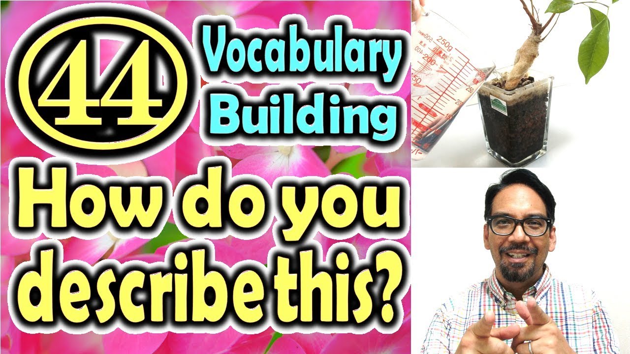 How do you describe this?(44) (Vocabulary Building) [ ForB English ...