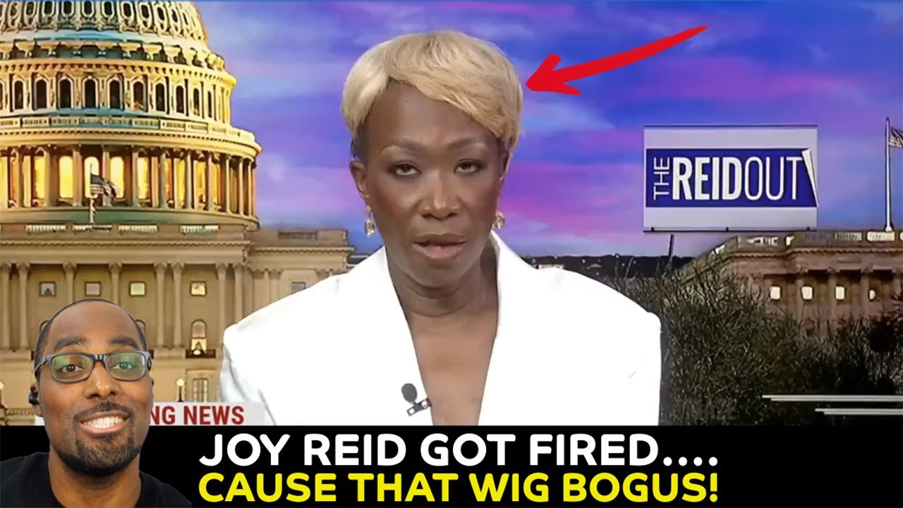 Joy Reid GOT CANCELED Because HER WIG WAS BOGUS AF! - YouTube