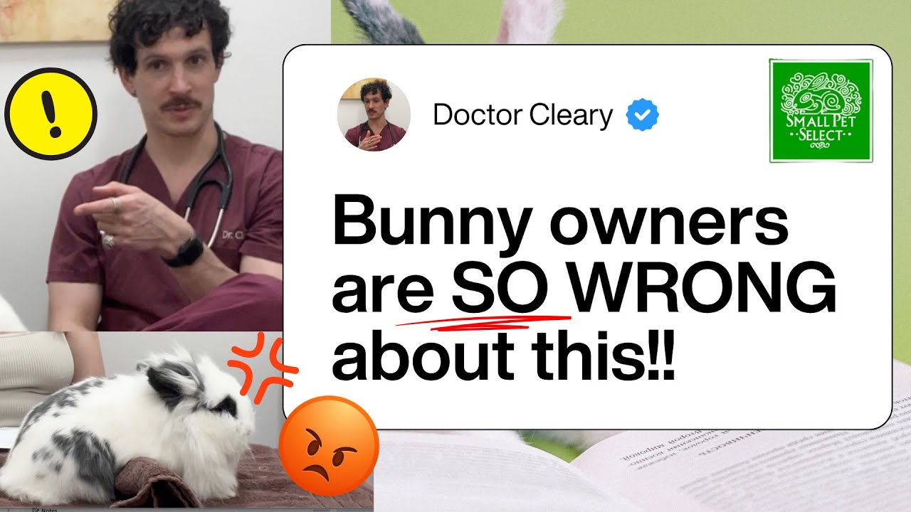 Rabbit Myths Busted: What Owners Get Wrong (with Dr. Lyle Cleary) - YouTube