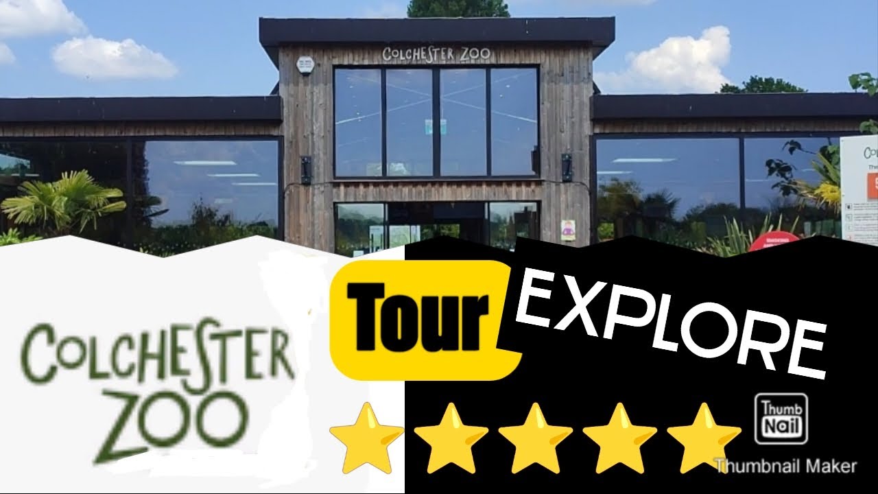 Colchester Zoo Tour Explore - 100's of animals - Worth Visiting 👍 Best ...