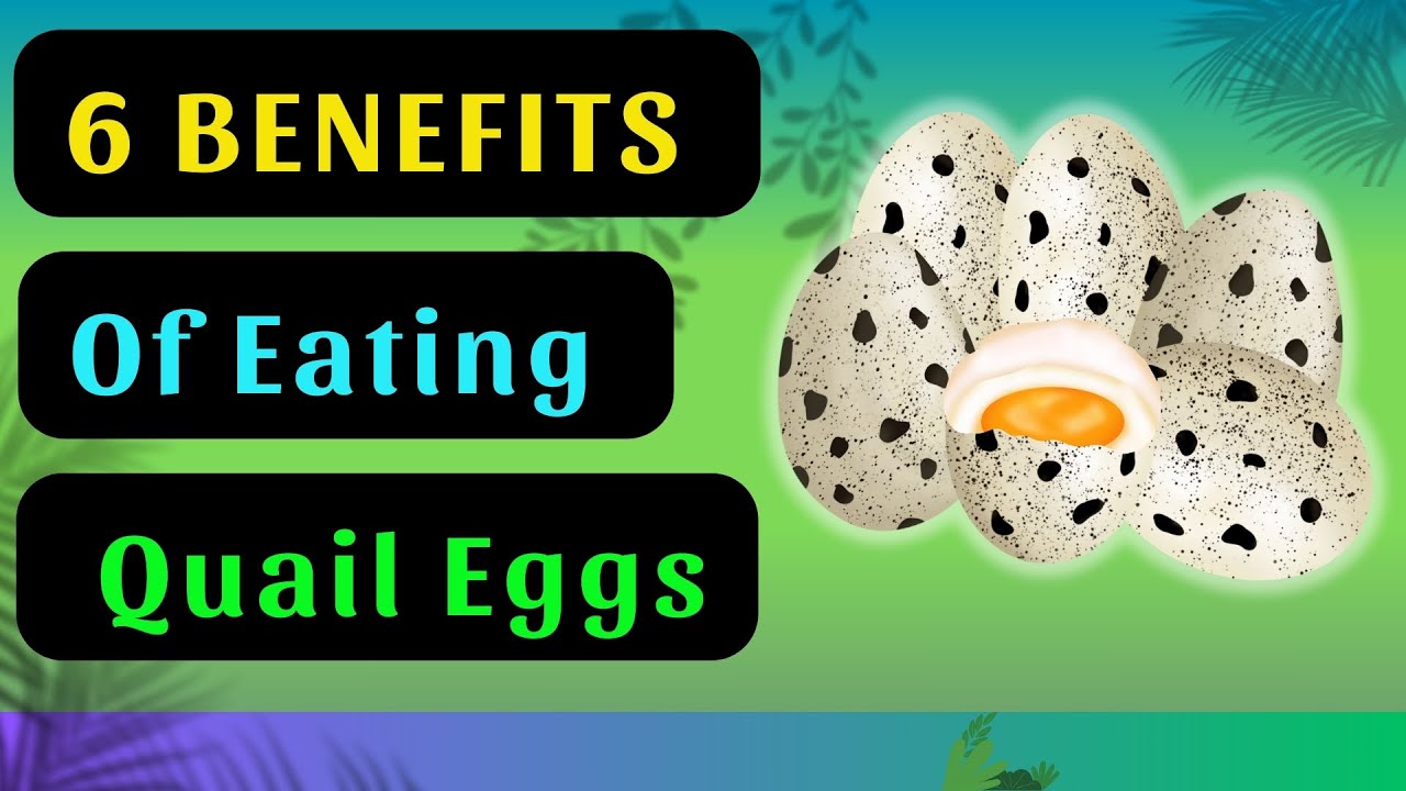 6 PROVEN Benefits of Eating Quail Eggs – Incredible Superfood for Your ...