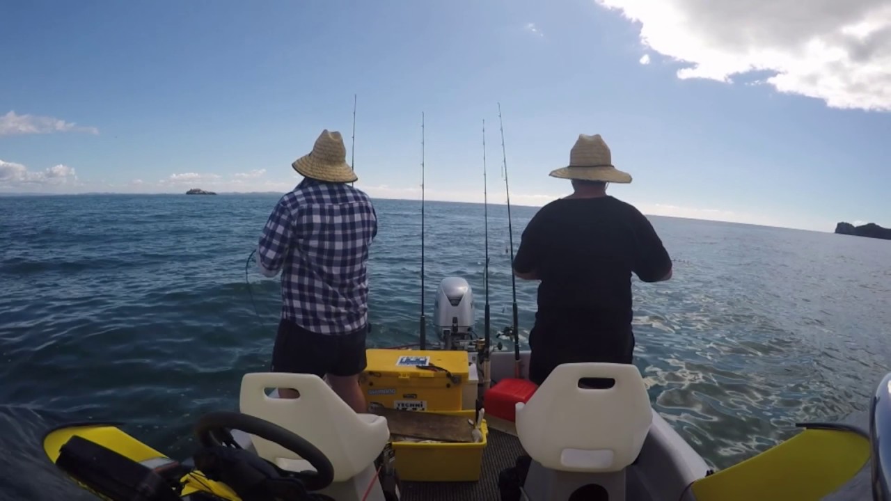 Hunt Gather Fish on the water with a Honda BF50 - YouTube