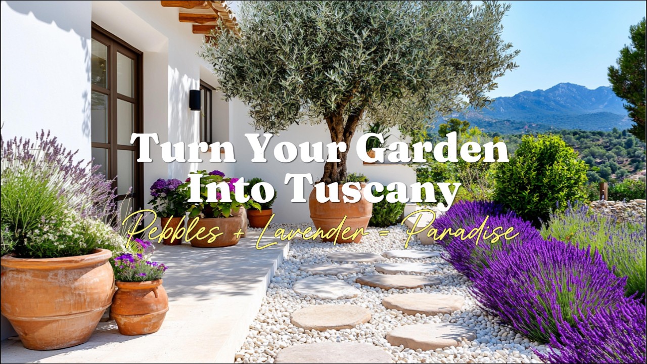 Enchanted Mediterranean Nook: Crafting a Sunny Retreat with Pebbles and ...