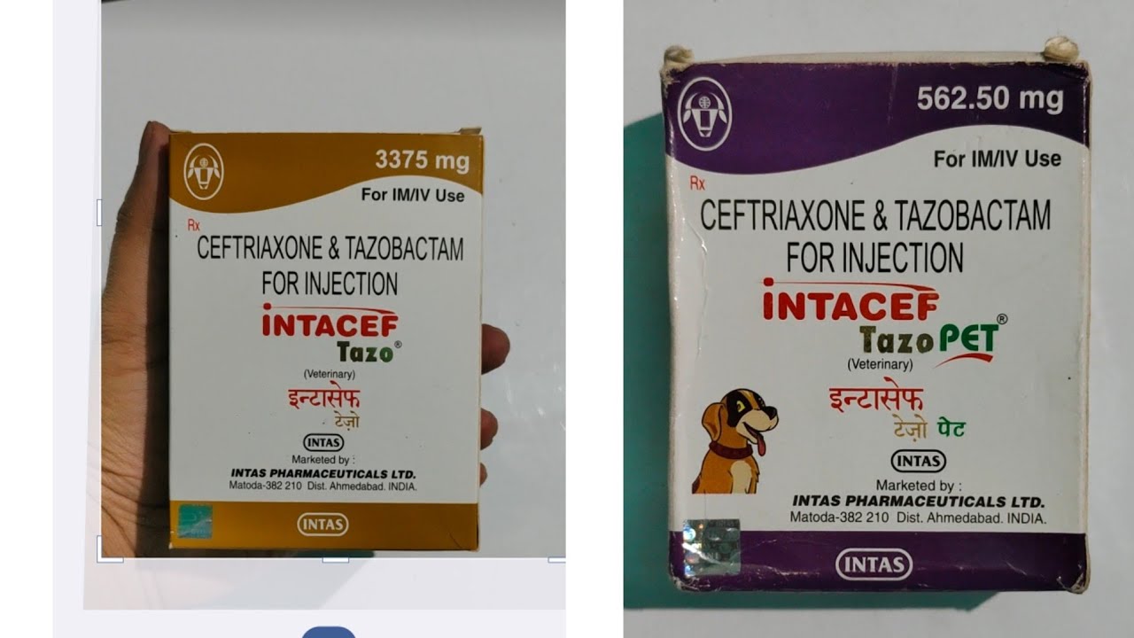 #inj INTACEF TAZO(CEFTRIAXONE+TAZOBACTUM)#medicine - YouTube