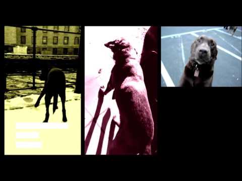 TERRANOVA  'Uchu No Inu' feat Rocco ( official video)